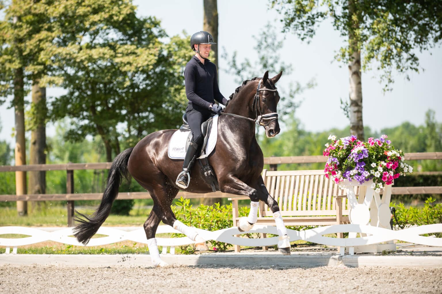 Dressuurpaarden te koop - Dressuurstal van Baalen